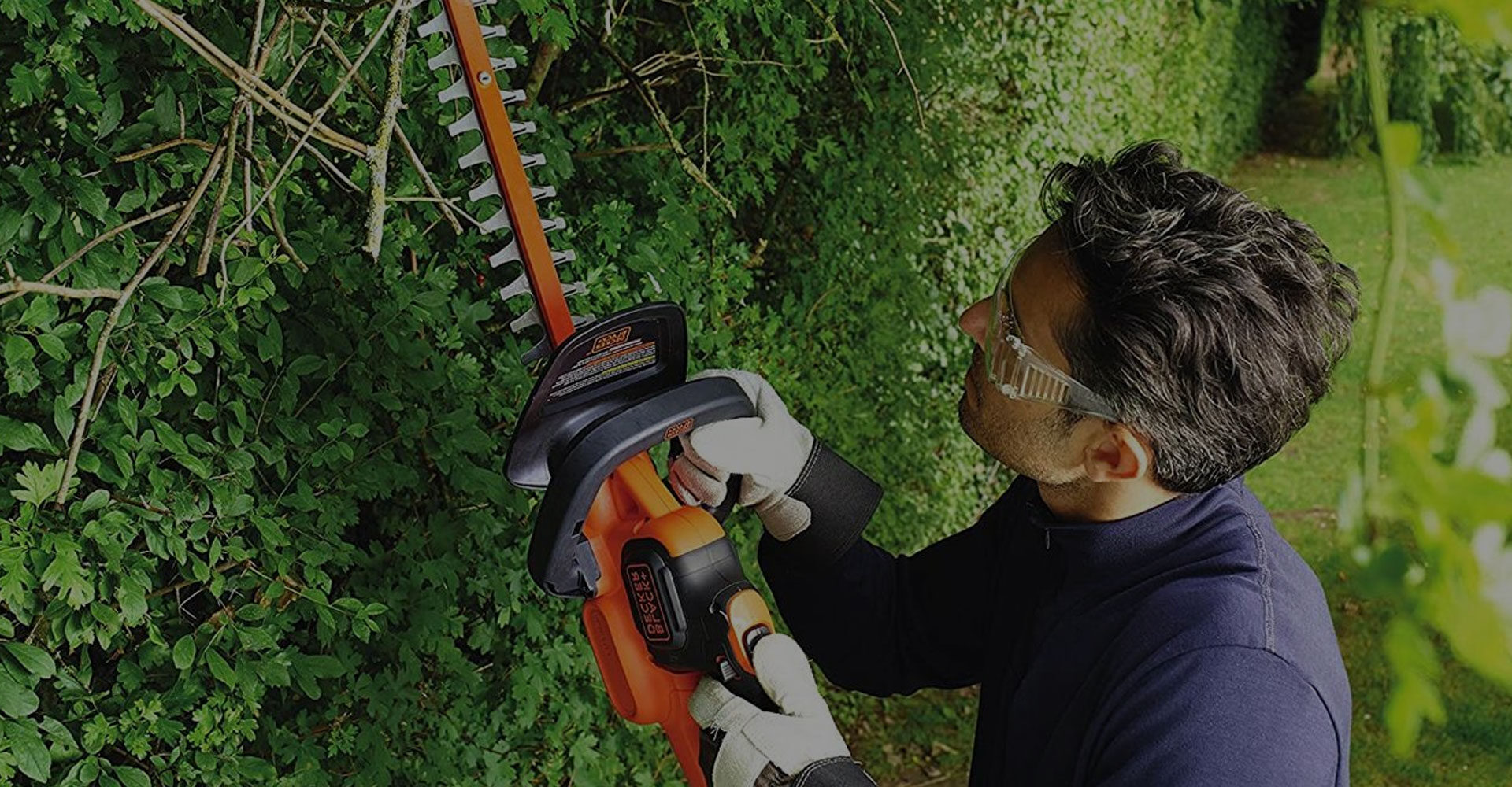 Hedge Shaping Secrets: How to Achieve the Perfect Look